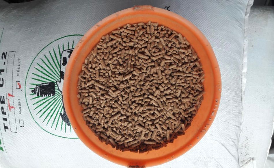 Pakan Fungsional, Turunkan Tingkat Kematian Cempe - MEPNEWS.ID