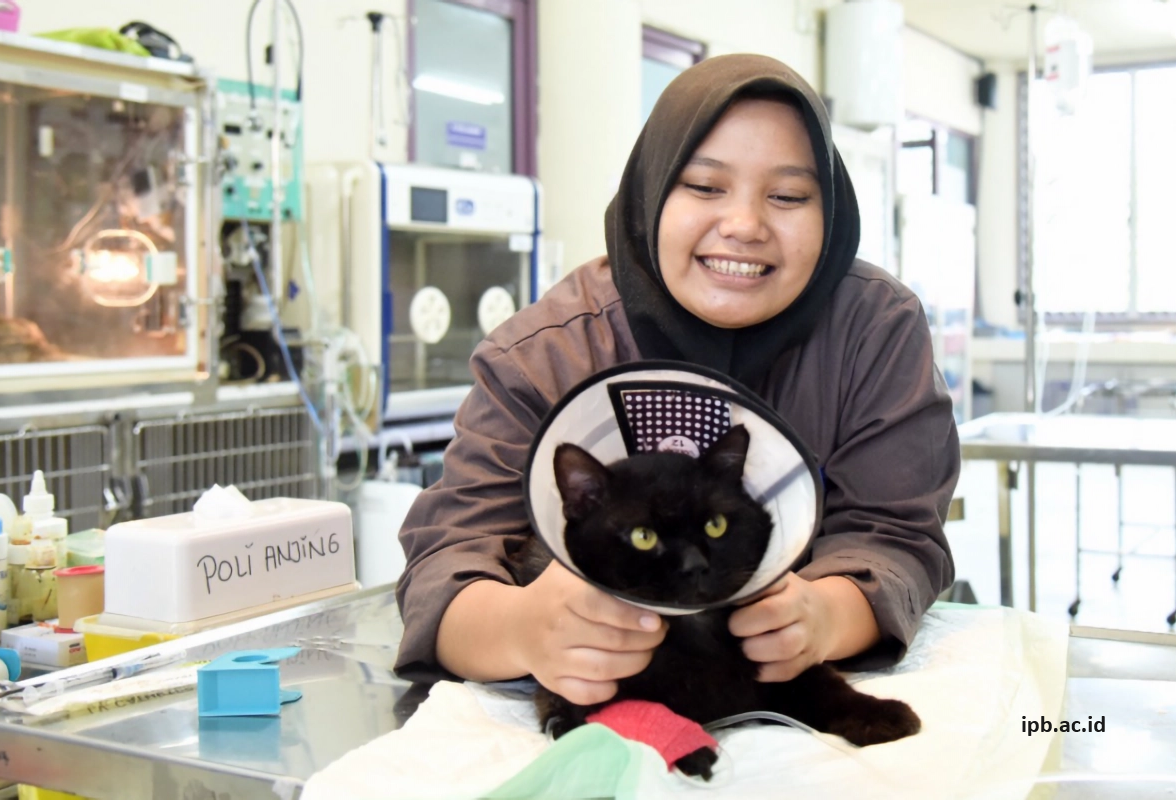 RSHP IPB Buka Fasilitas Penitipan Hewan Peliharaan di Hari Raya ...